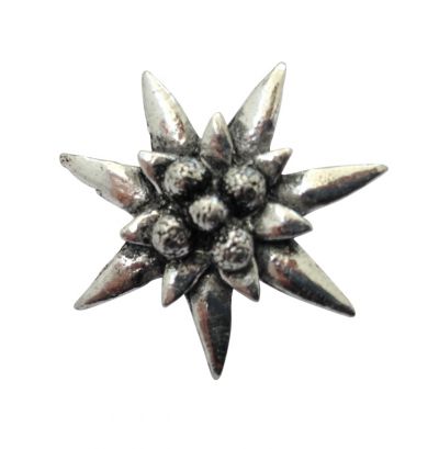 Eleganter Ansteckpin Edelweiss